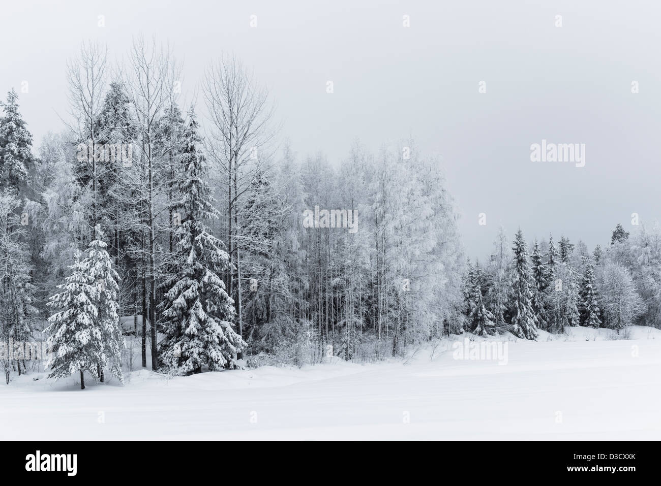 Winter landscape with frost and snow on the trees Stock Photo - Alamy