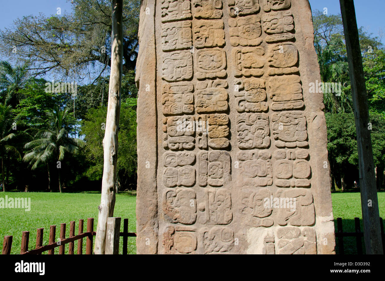 Guatemala, Quirigua Mayan Ruins Archaeological Park (UNESCO). Detail of ...