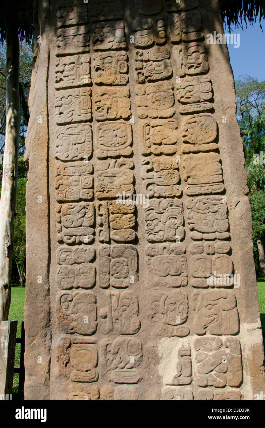 Mayan stele quirigua hi-res stock photography and images - Alamy