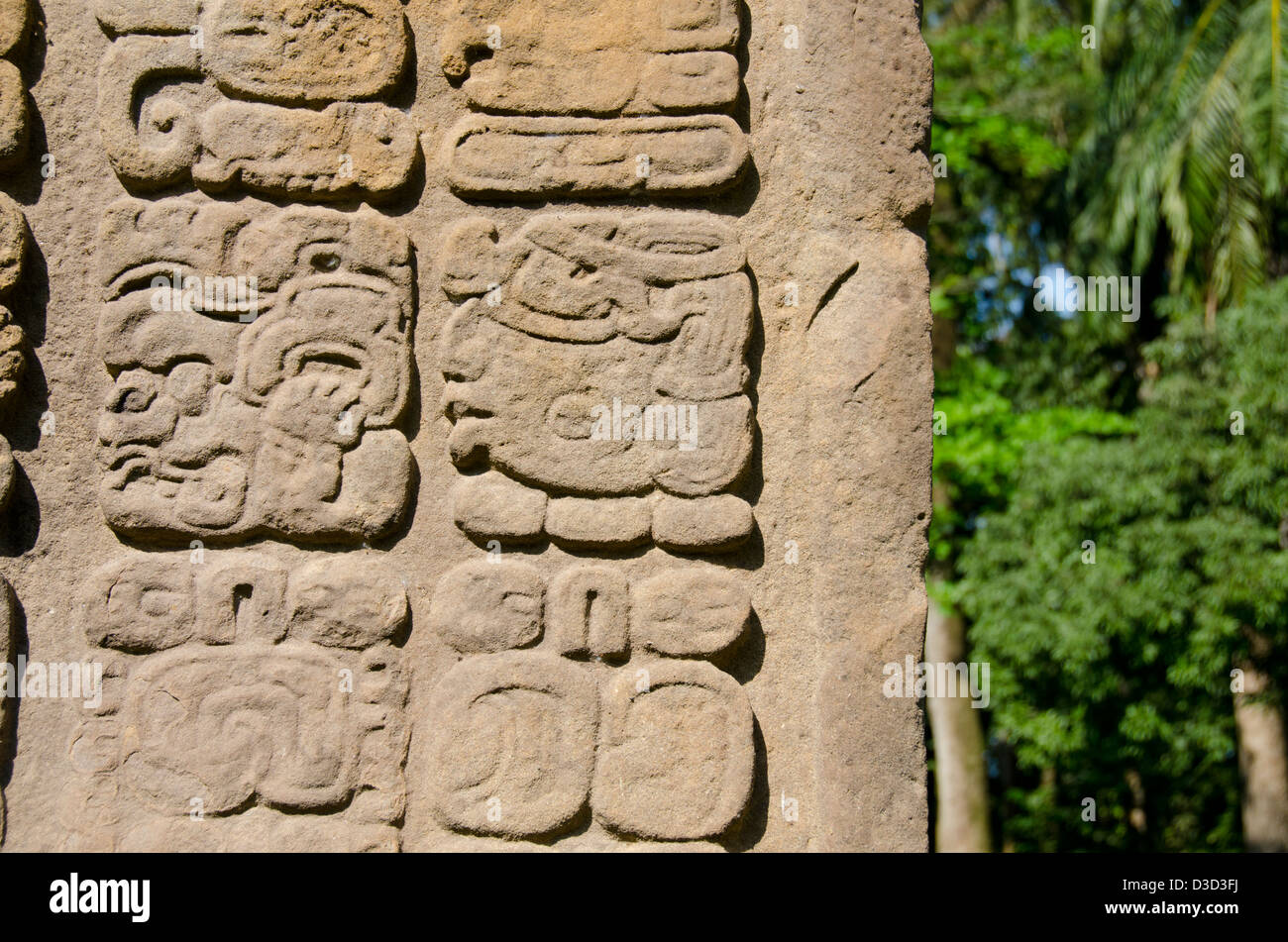 Guatemala, Quirigua Mayan Ruins Archaeological Park (UNESCO). Detail of ...