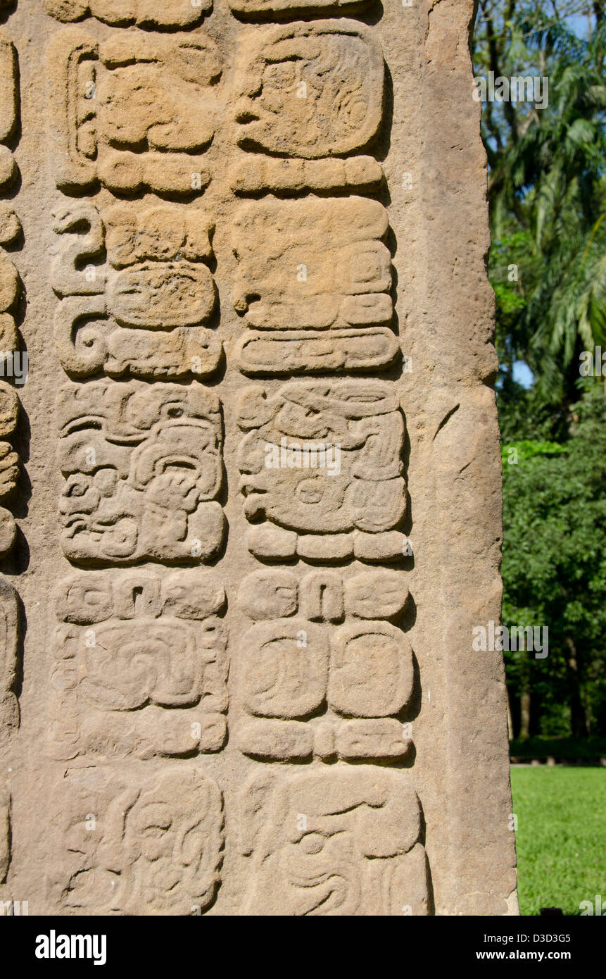 Guatemala, Quirigua Mayan Ruins Archaeological Park (UNESCO). Detail of ...