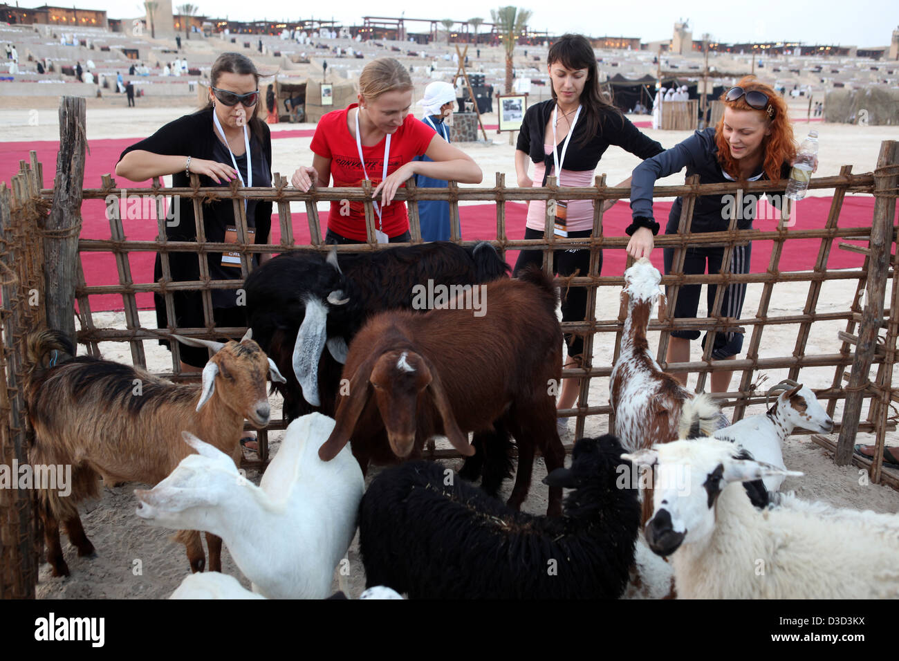 Dubai, United Arab Emirates, women look at goats Stock Photo - Alamy