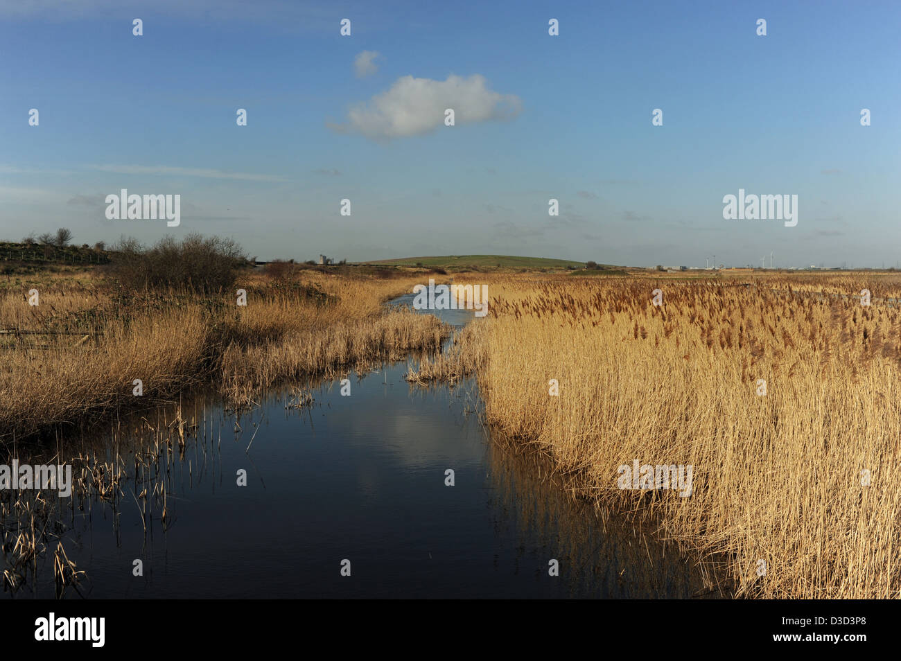 Rainham Marshes RSPB Nature Reserve by the River Thames Essex UK Stock ...