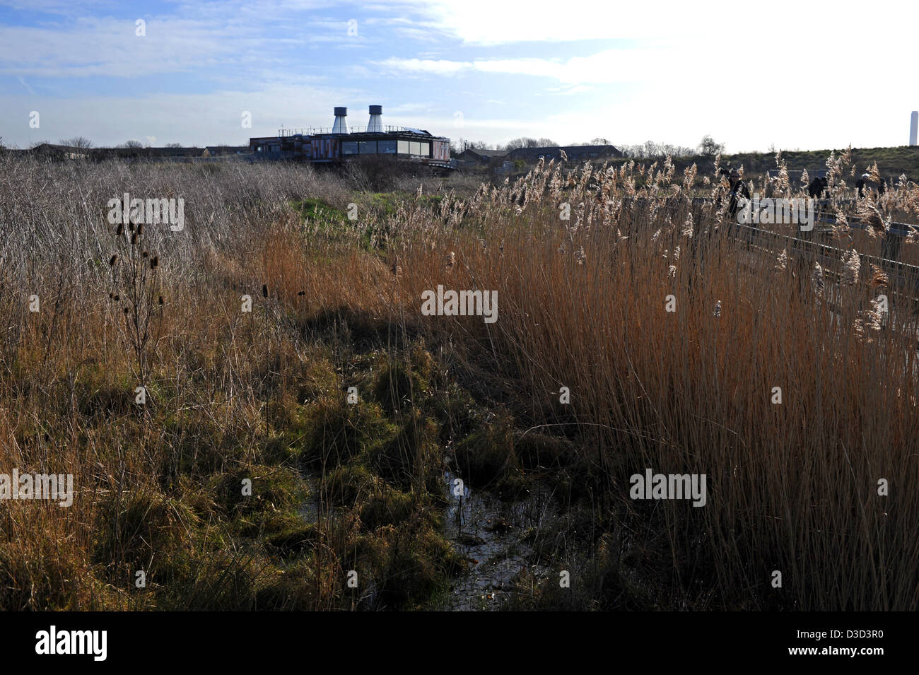 Rainham Marshes RSPB Nature Reserve by the River Thames Essex UK UK ...