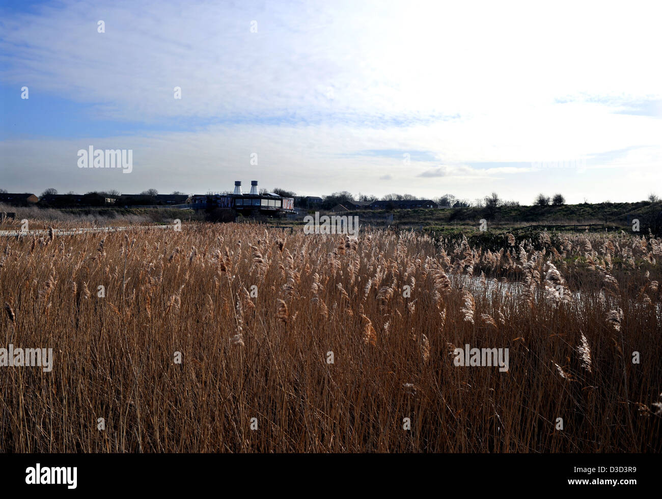 Rainham Marshes RSPB Nature Reserve by the River Thames Essex UK Stock ...
