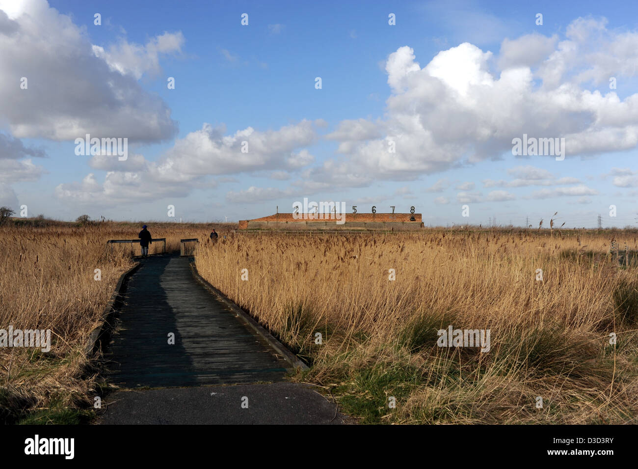 Rainham Marshes RSPB Nature Reserve by the River Thames Essex UK Stock ...