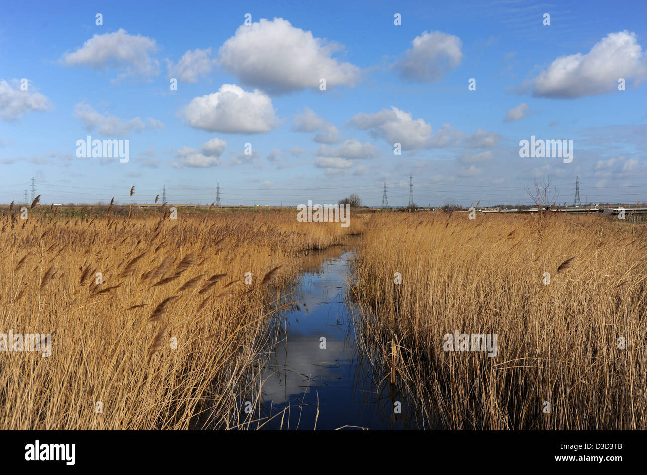 Rainham Marshes RSPB Nature Reserve by the River Thames Essex UK Stock ...