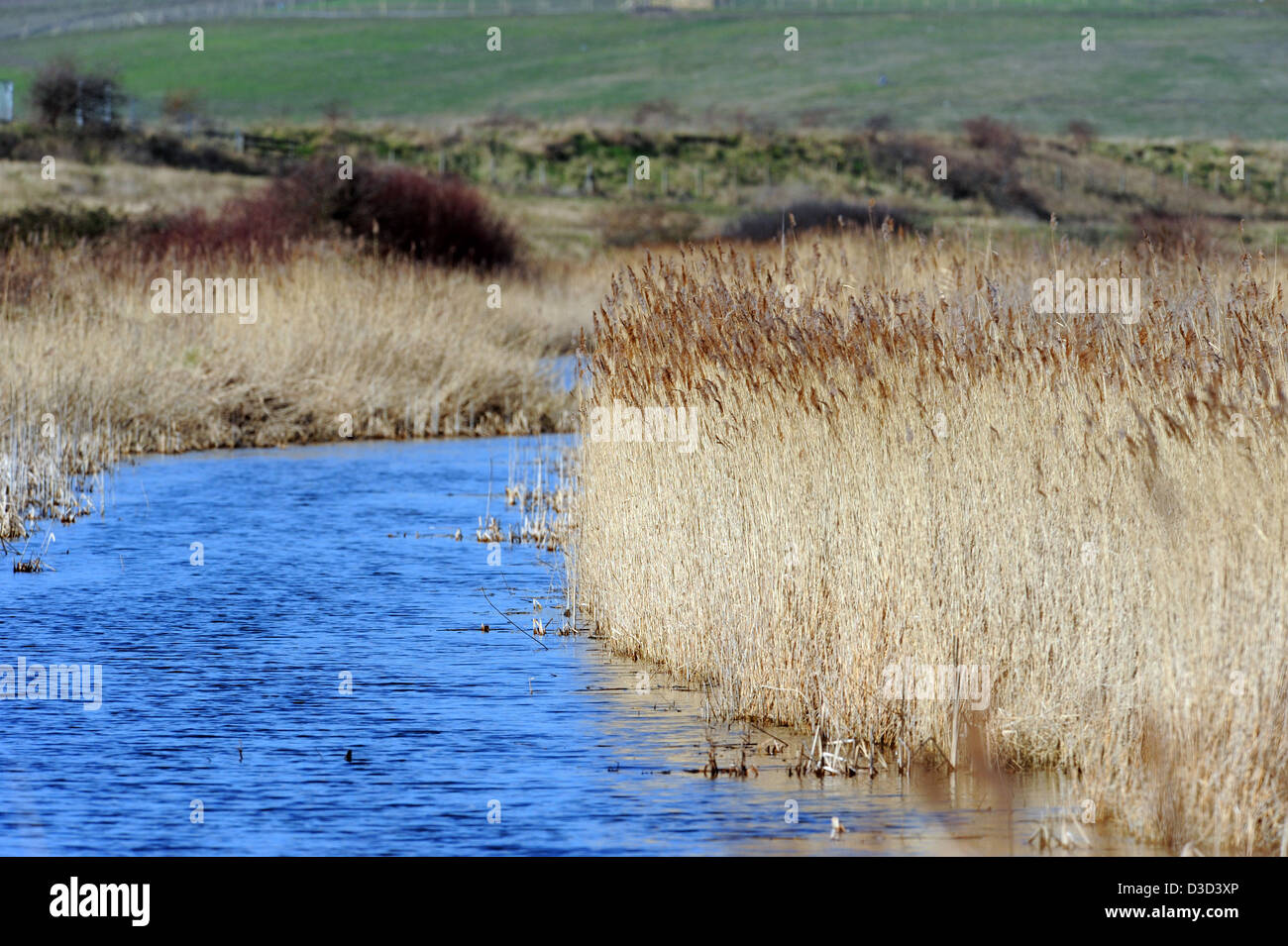 Rainham Marshes RSPB Nature Reserve by the River Thames Essex UK Stock ...