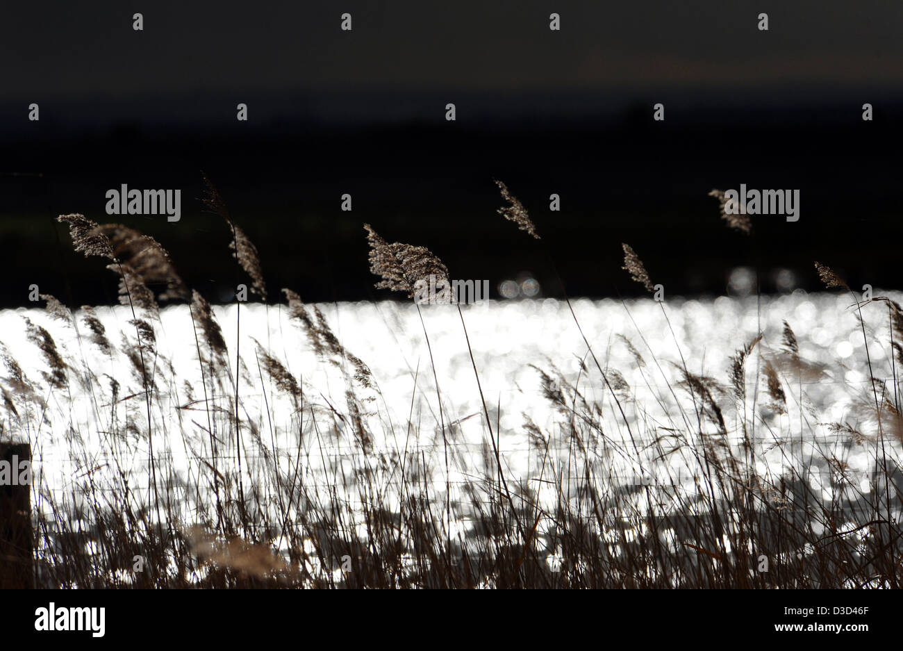 Rainham Marshes RSPB Nature Reserve by the River Thames Essex UK Stock ...