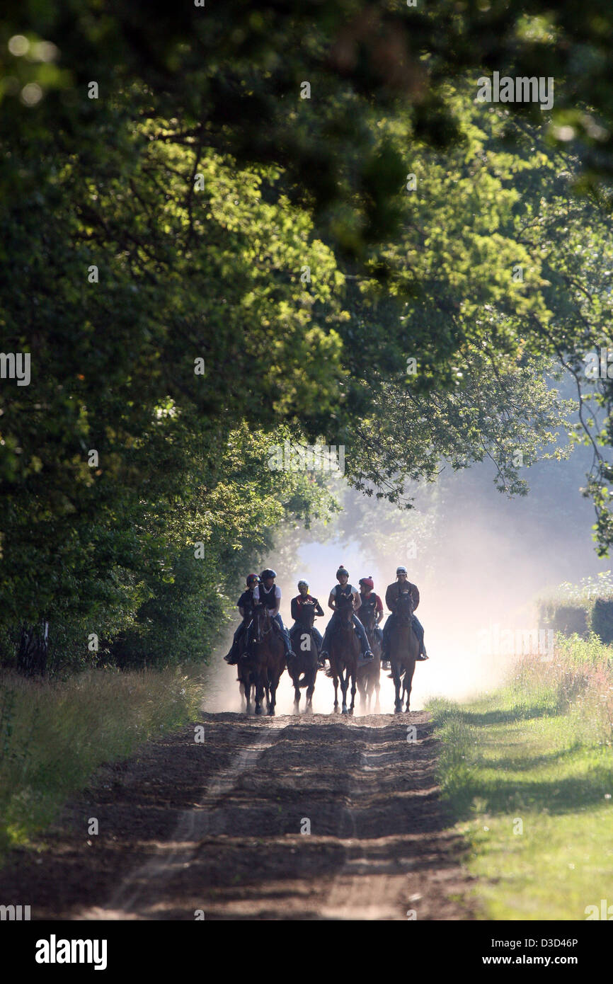 Gutersloh, Germany, horses and riders on horseback Stock Photo - Alamy
