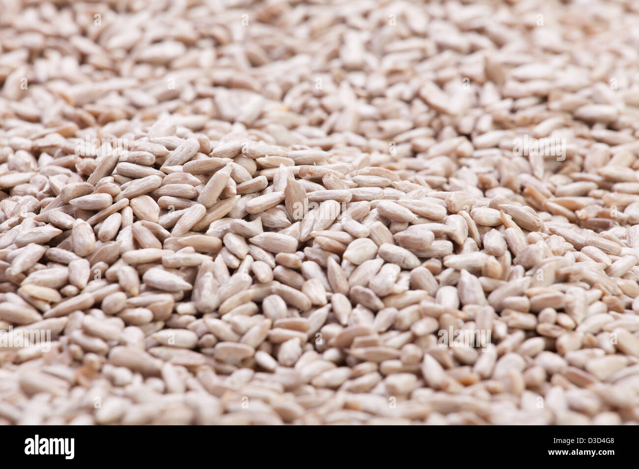 sunflower seeds raw full frame closeup Stock Photo - Alamy