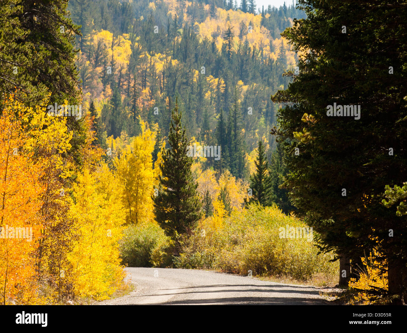 Boreas pass hi-res stock photography and images - Alamy