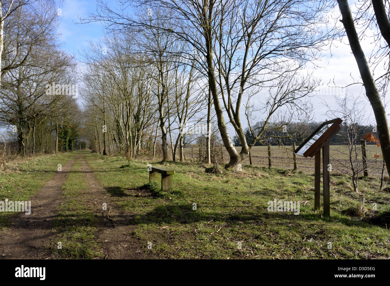 Interpretive activity hi-res stock photography and images - Alamy