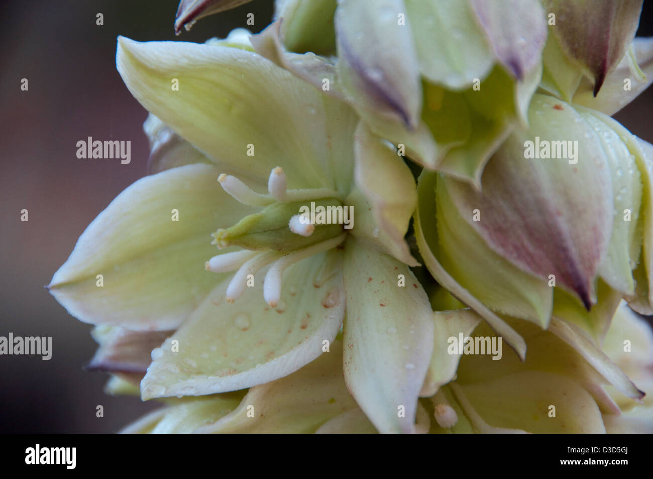 Harrimans hi-res stock photography and images - Alamy