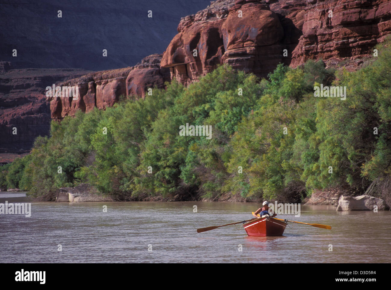 A dory boat navigates the Colorado River through Canyonlands National ...