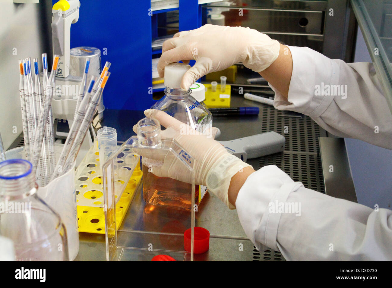 Berlin, Germany, laboratory assistant at the cell sample analysis Stock ...