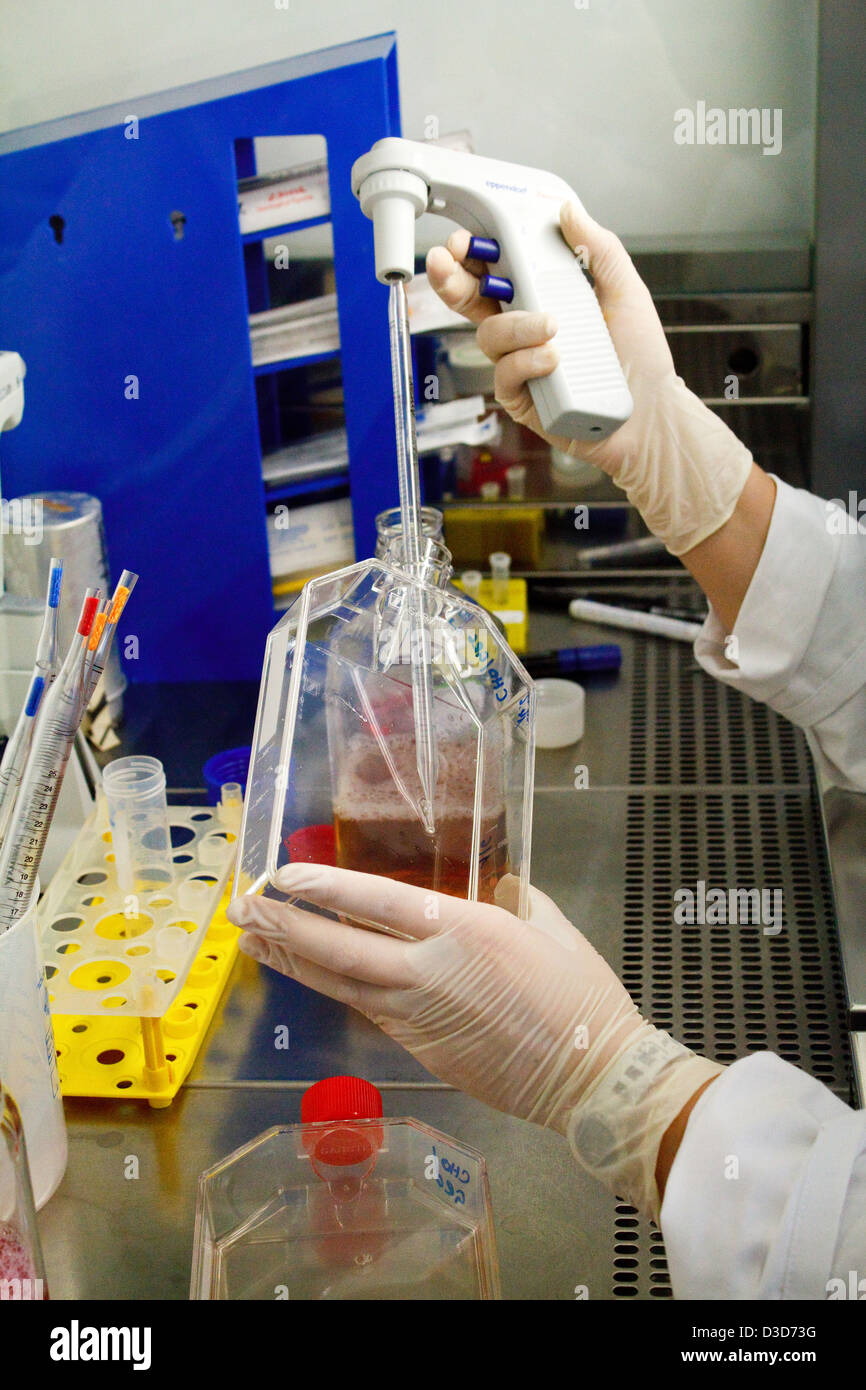 Laboratory cell research hi-res stock photography and images - Alamy