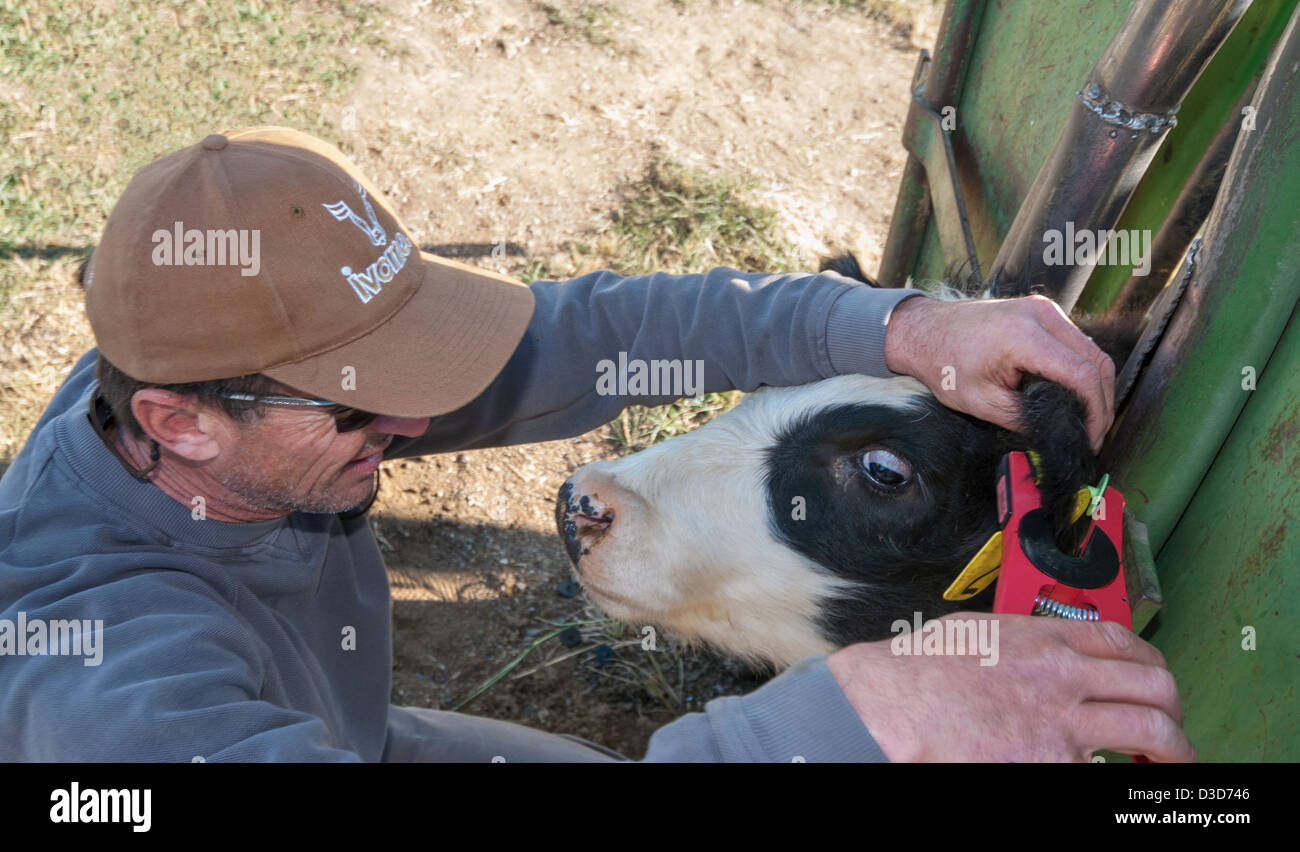 Maxwell ranch hi-res stock photography and images - Alamy