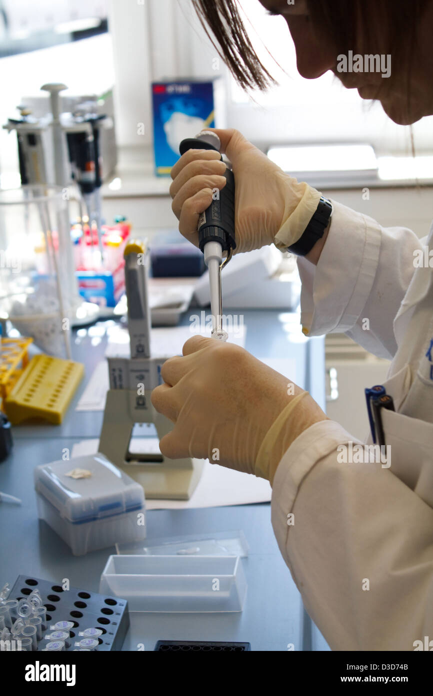 Berlin, Germany, lab technician at the dilution of cell samples Stock ...