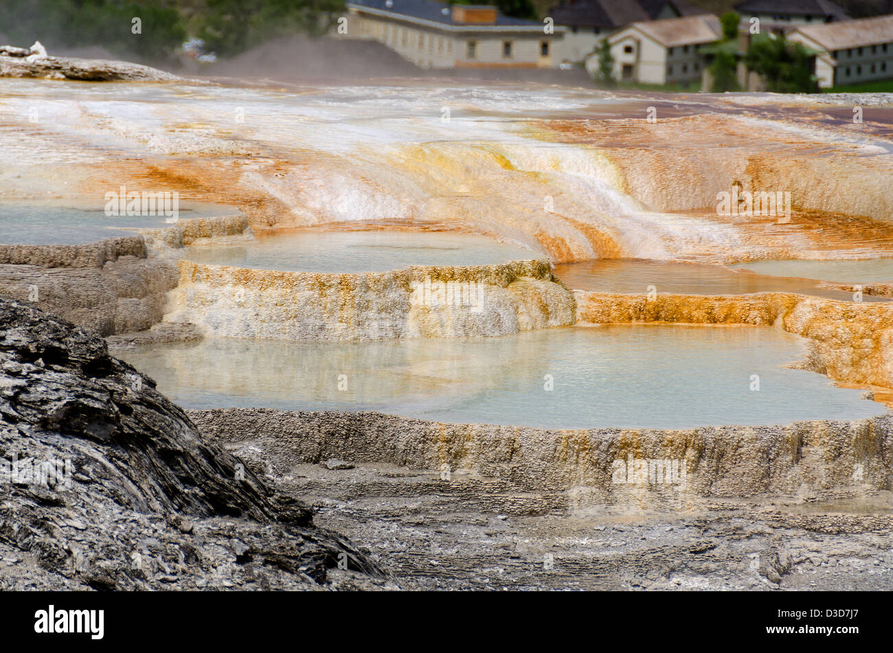 sulfur water at Mammoth Hot Springs in Yellowstone National Park in ...