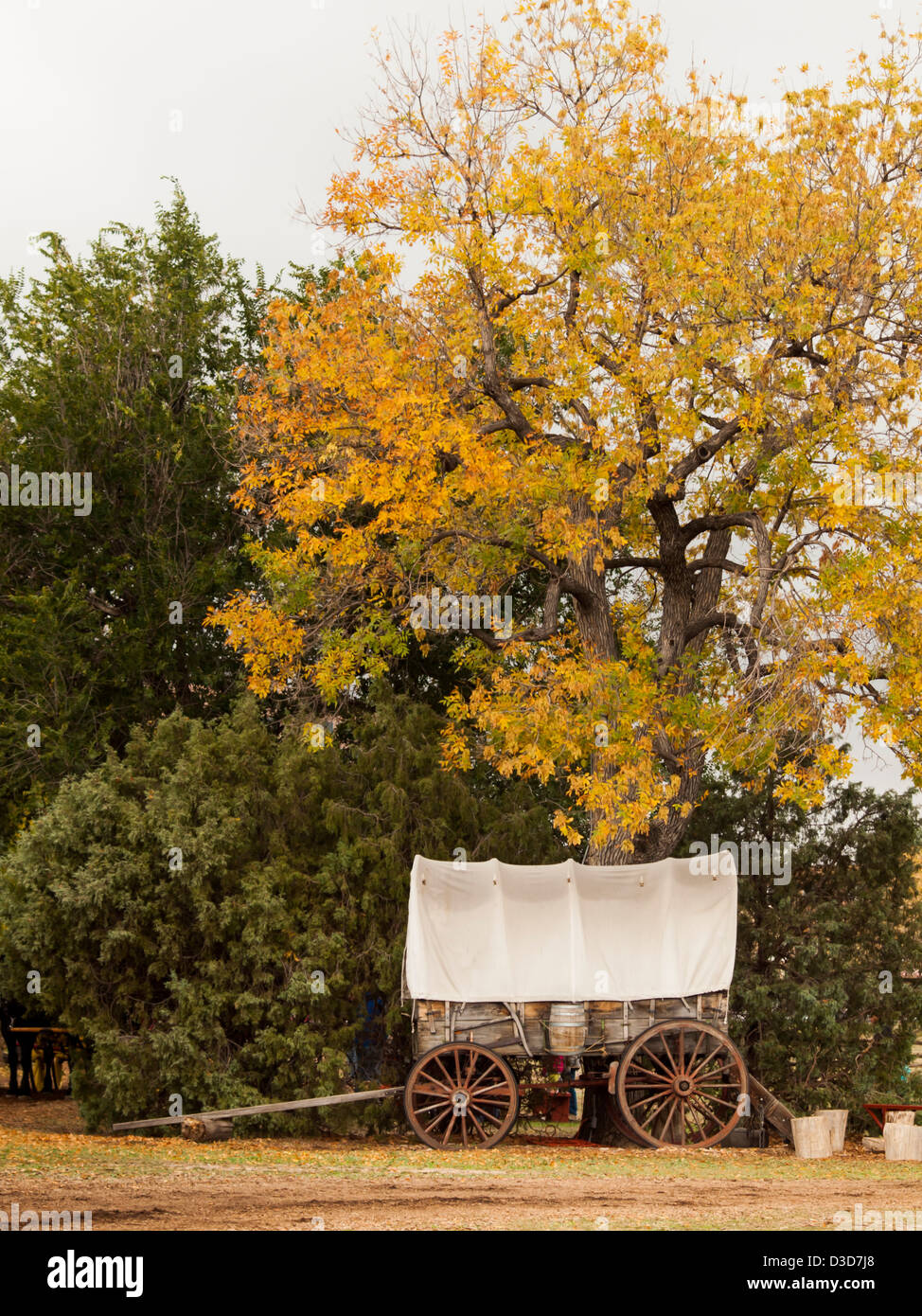 Old wagon on display at the historical museum Stock Photo - Alamy