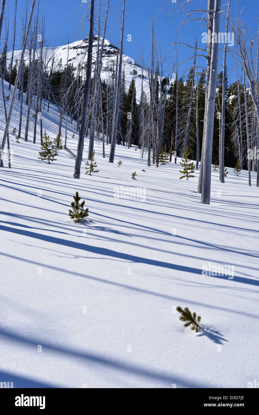 Burnt ridge hi-res stock photography and images - Alamy