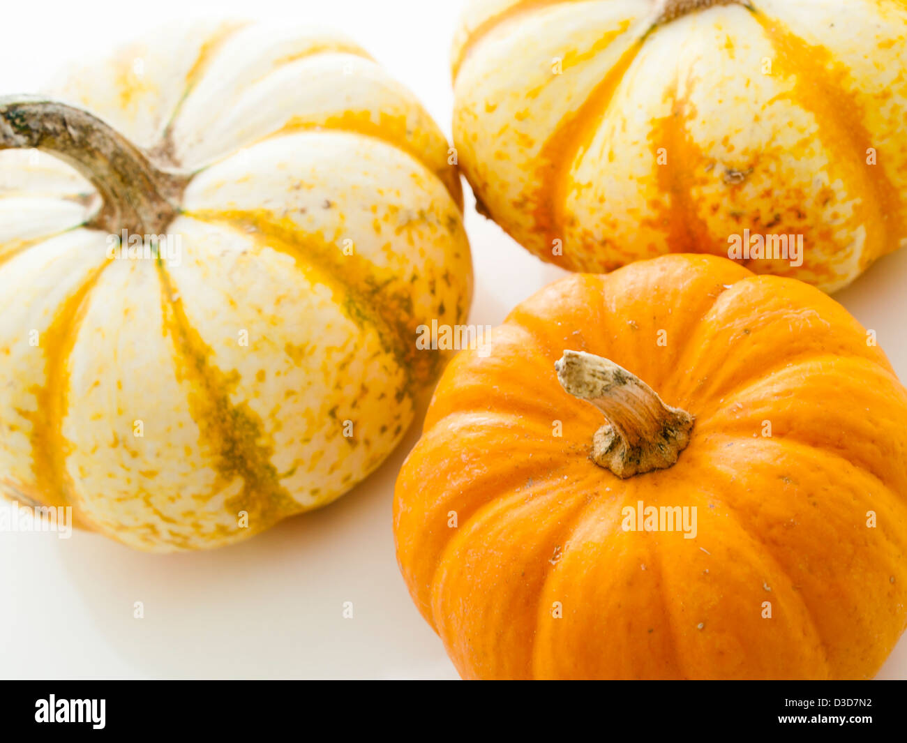 Small multi-color pumpkins on white background Stock Photo - Alamy