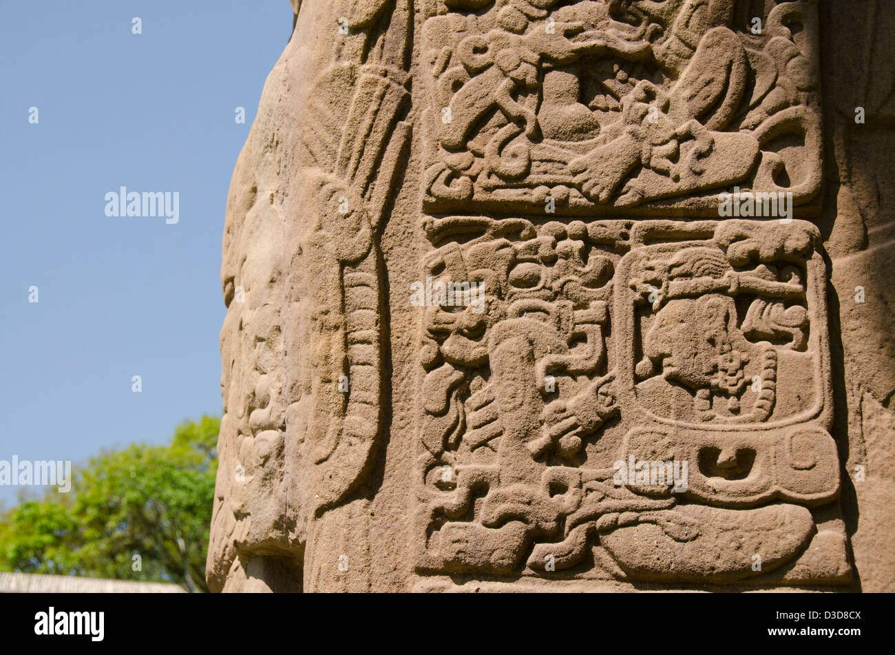 Guatemala, Quirigua Mayan Ruins Archaeological Park (UNESCO Stock Photo ...