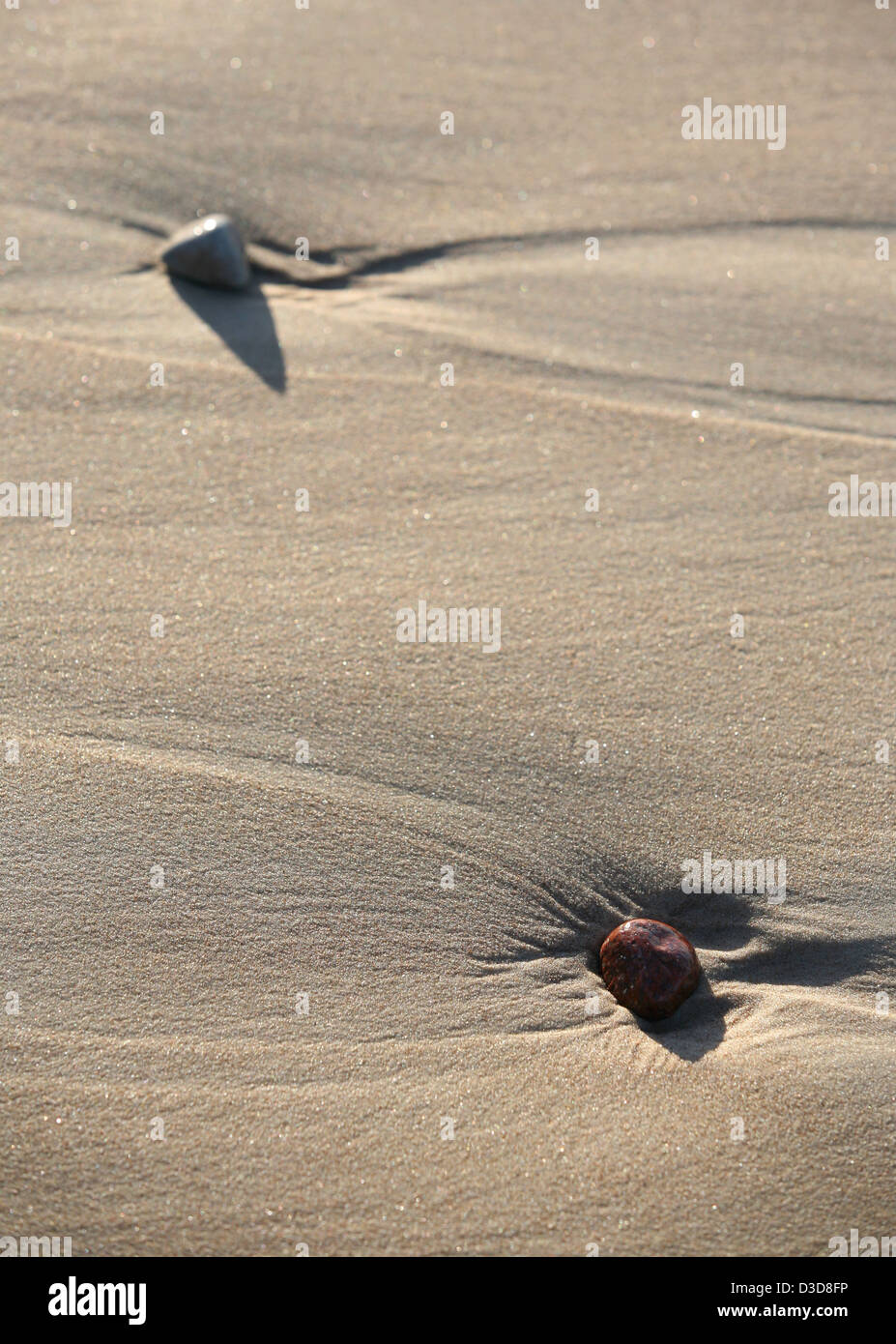 Wet stones in sand on seacoast Stock Photo - Alamy