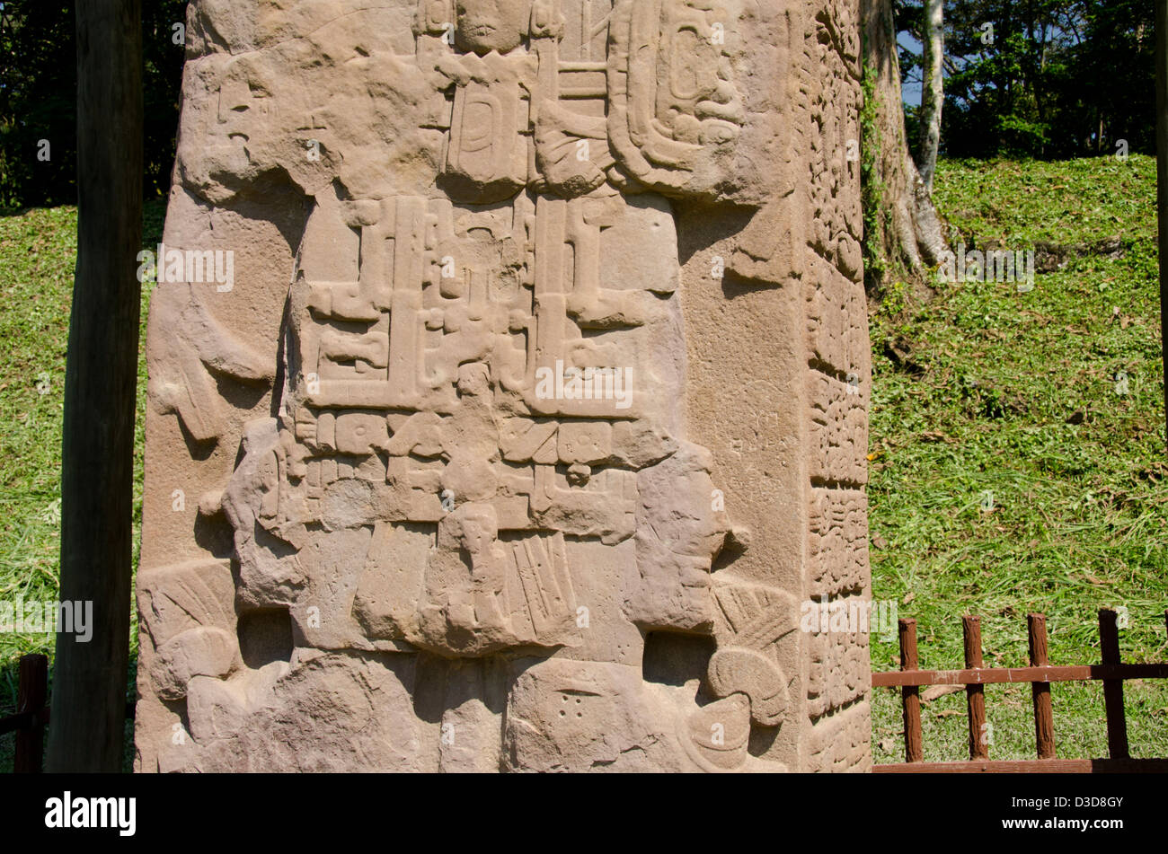 Guatemala, Quirigua Mayan Ruins Archaeological Park (UNESCO Stock Photo ...
