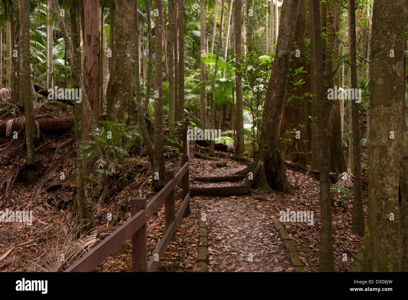 Mount Warning National Park in northern New South Wales, Australia ...