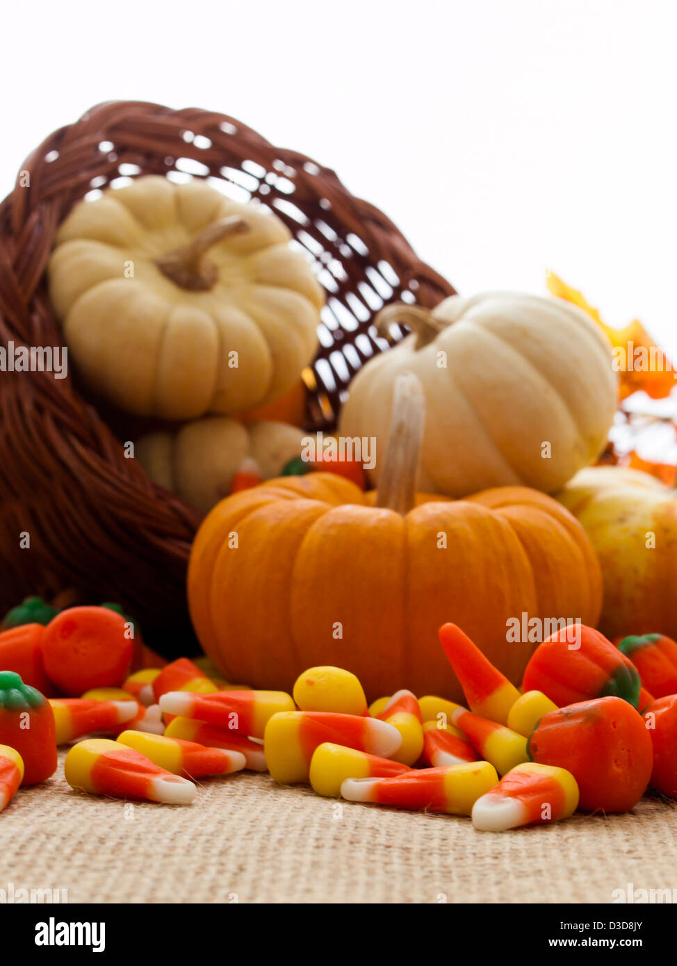 Small multi-color pumpkins and Halloween candies spilled from ...