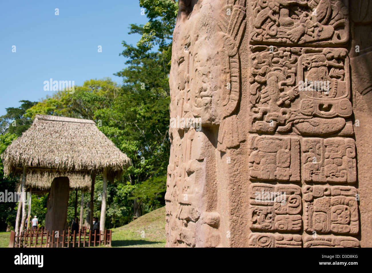 Guatemala, Quirigua Mayan Ruins Archaeological Park (UNESCO Stock Photo ...