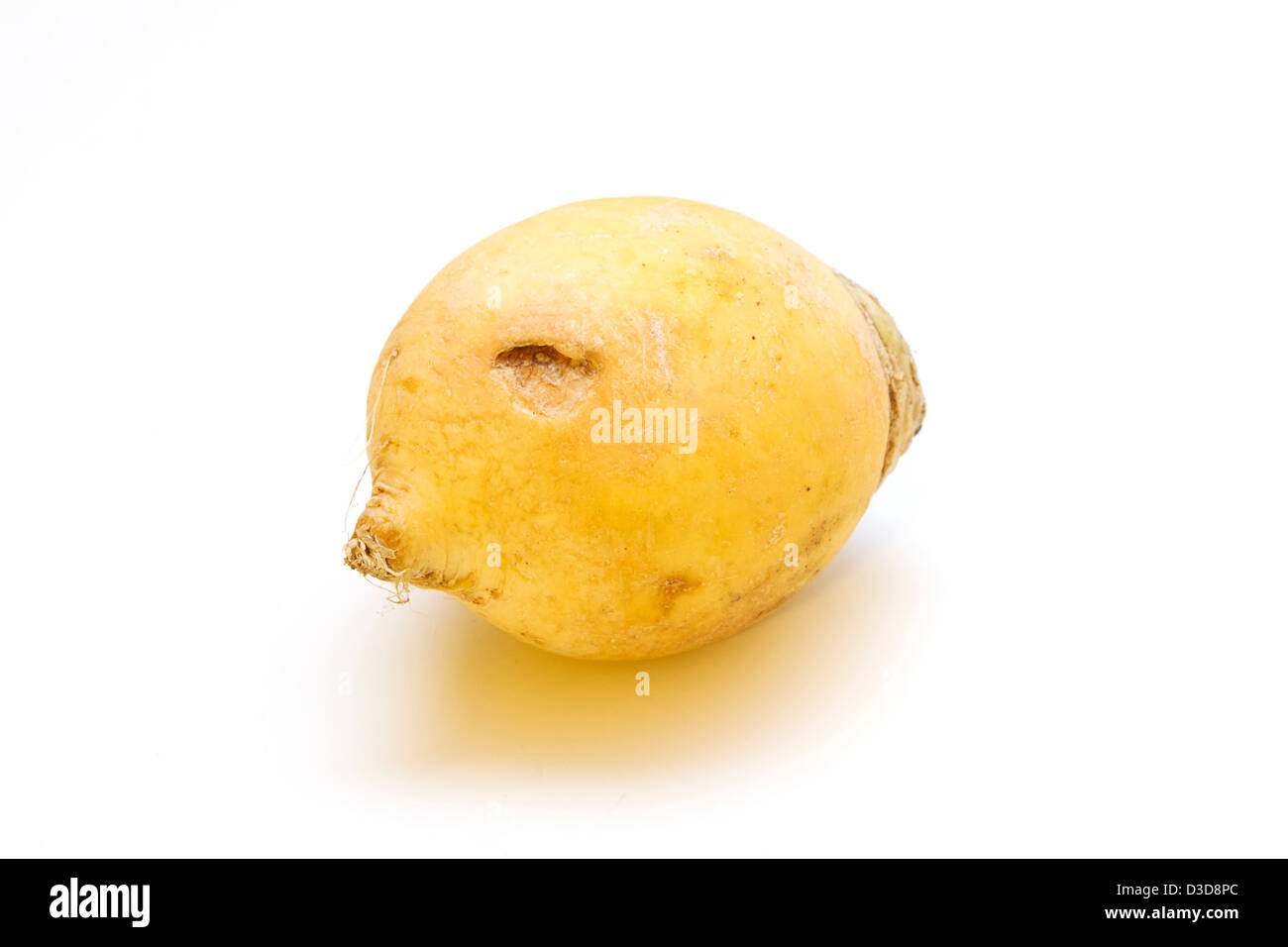 Yellow turnip Cut Out Stock Images & Pictures - Alamy