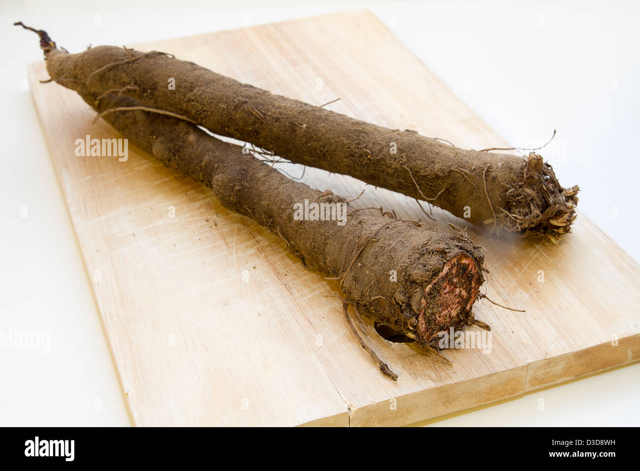 Scorzonera roots black salsify scorzonera hi-res stock photography and ...