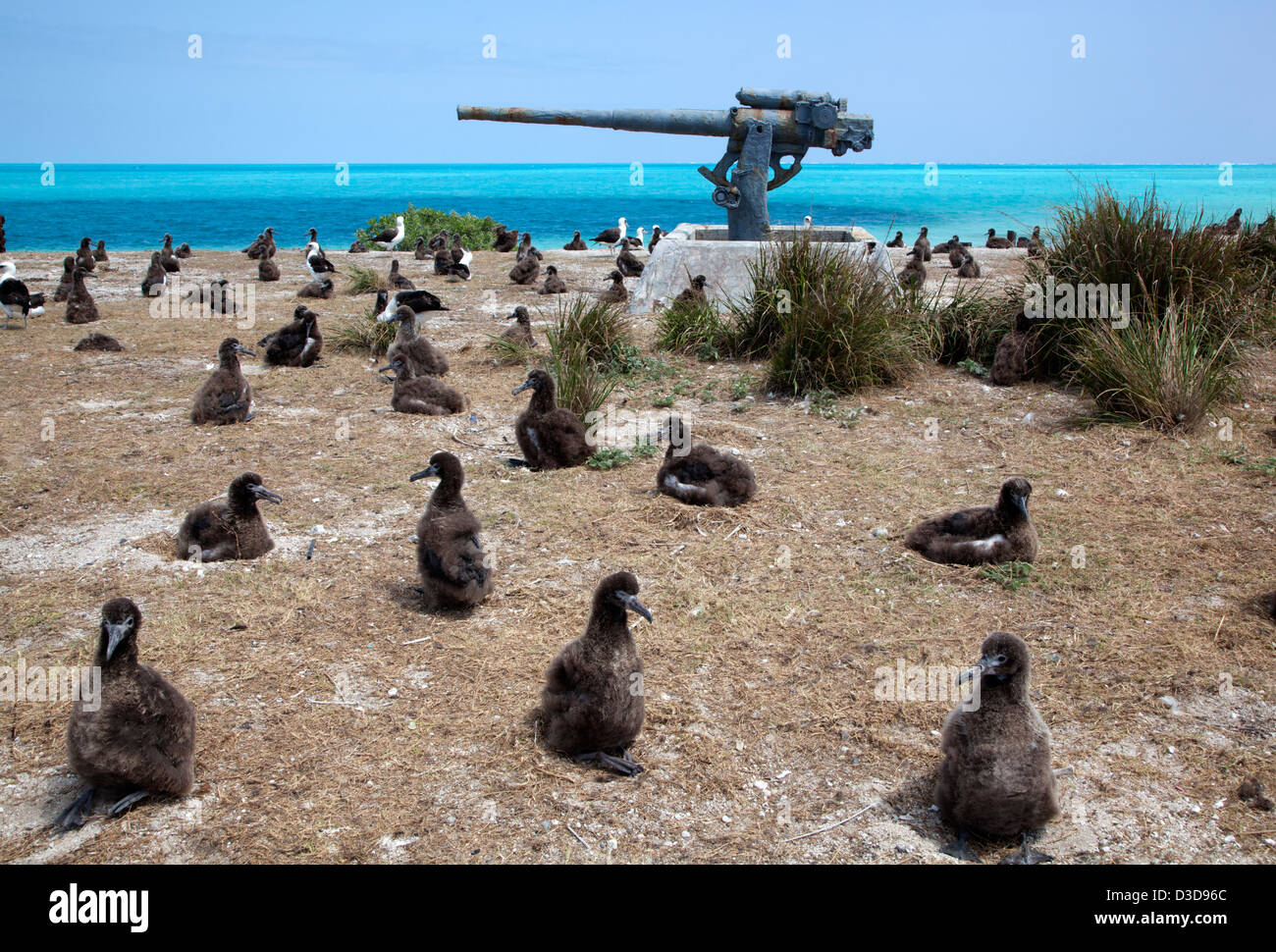 World War II 3" anti-aircraft gun of naval air station on Midway Atoll ...