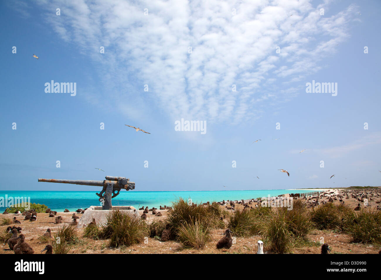 Battle of midway 1942 hi-res stock photography and images - Alamy