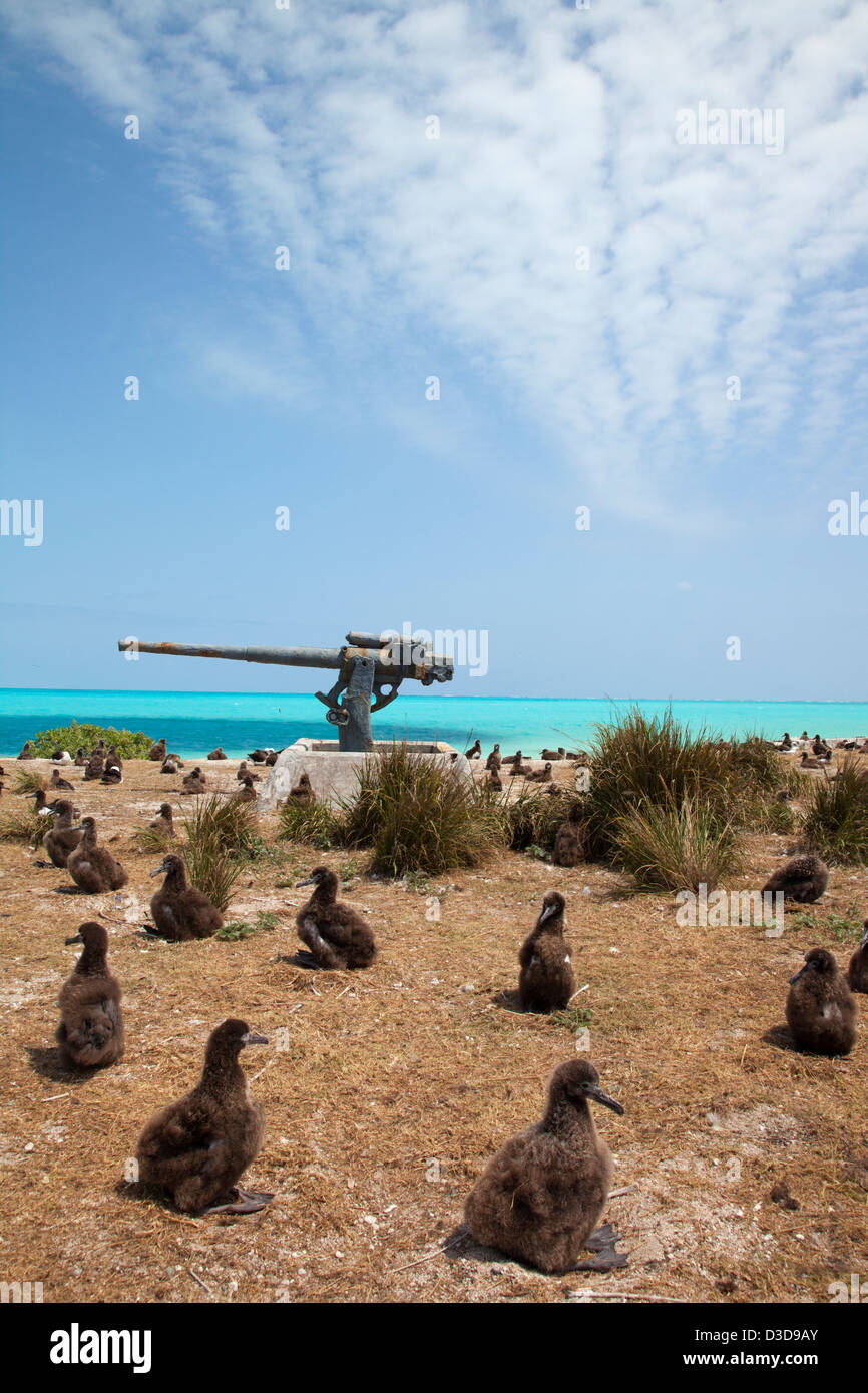 3 anti aircraft gun hi-res stock photography and images - Alamy