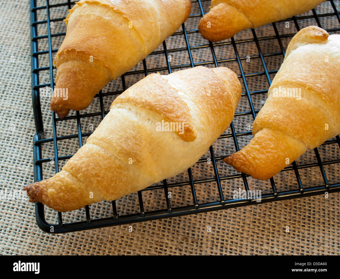 Baking small croissants for breakfast Stock Photo - Alamy