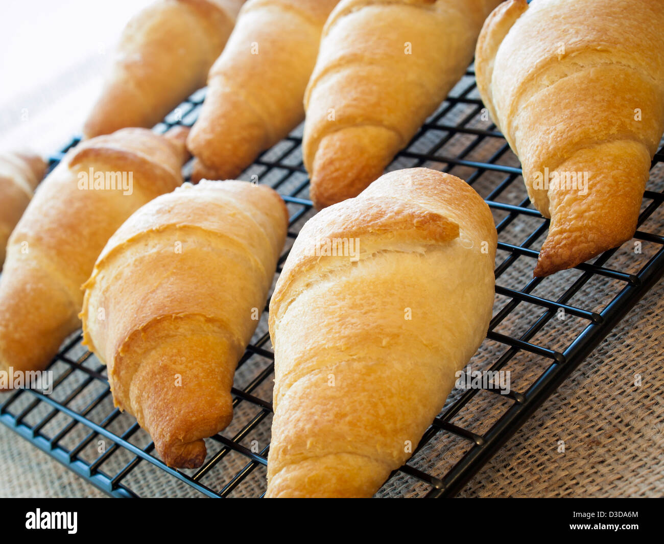Baking small croissants for breakfast Stock Photo - Alamy