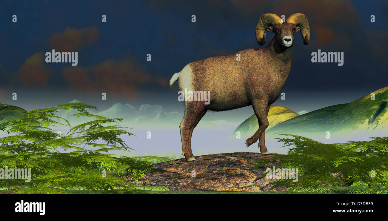 Ram animal hi-res stock photography and images - Alamy