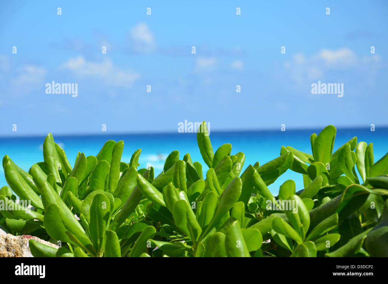 Greenery blue sky hi-res stock photography and images - Alamy
