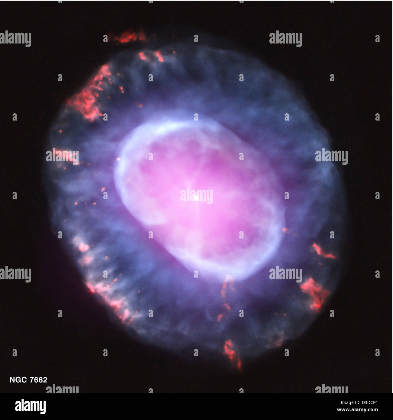 The Chandra X-ray Observatory captures an image of the Cat's Eye Nebula ...