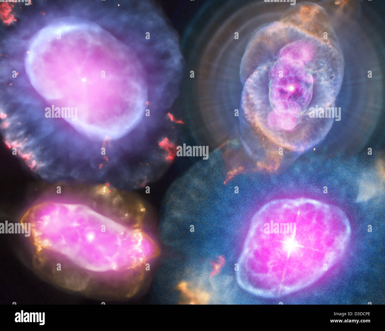 NASA's Chandra X-ray Observatory reveals stunning images of planetary ...