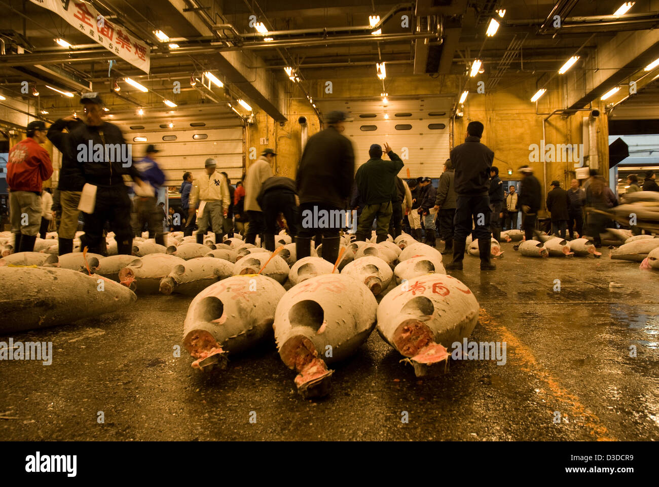 Tsukiji Fish market in Tokyo Japan Stock Photo - Alamy