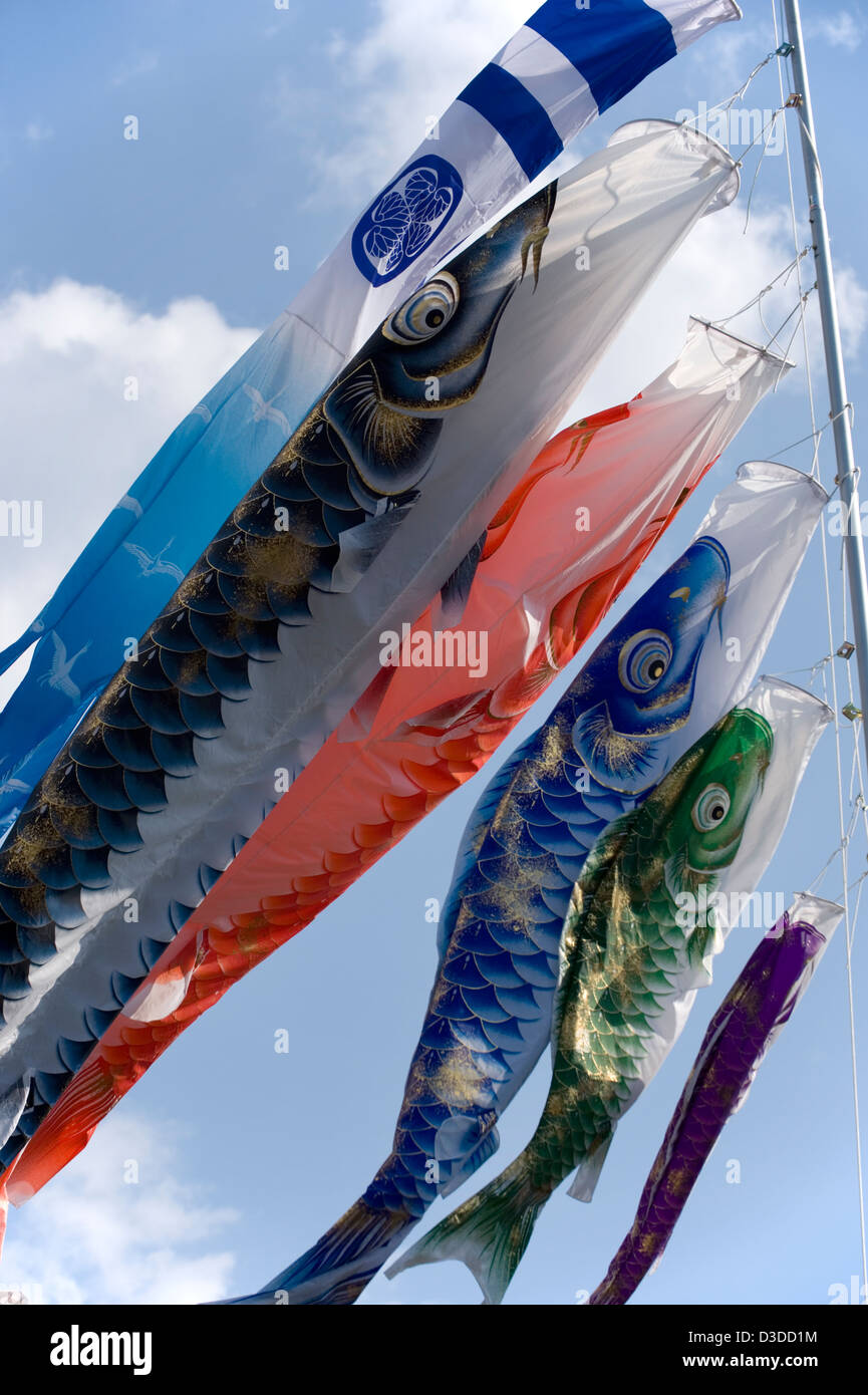 Windsock fish hi-res stock photography and images - Alamy