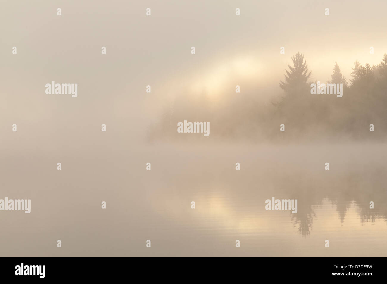 Lake sunrise in fog with trees shrouded in mist along shoreline Stock ...