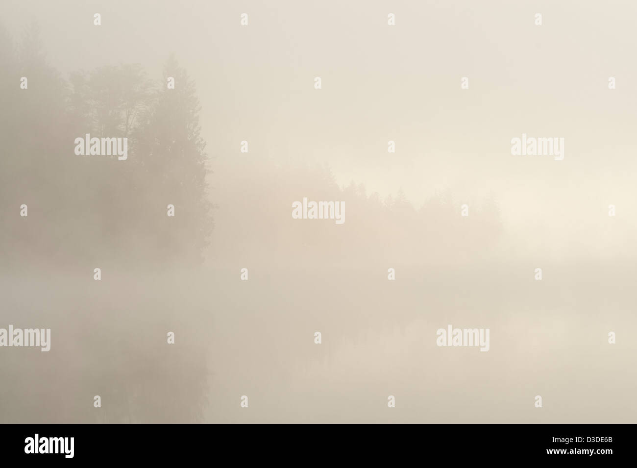 Lake sunrise in fog with trees shrouded in mist along shoreline Stock ...