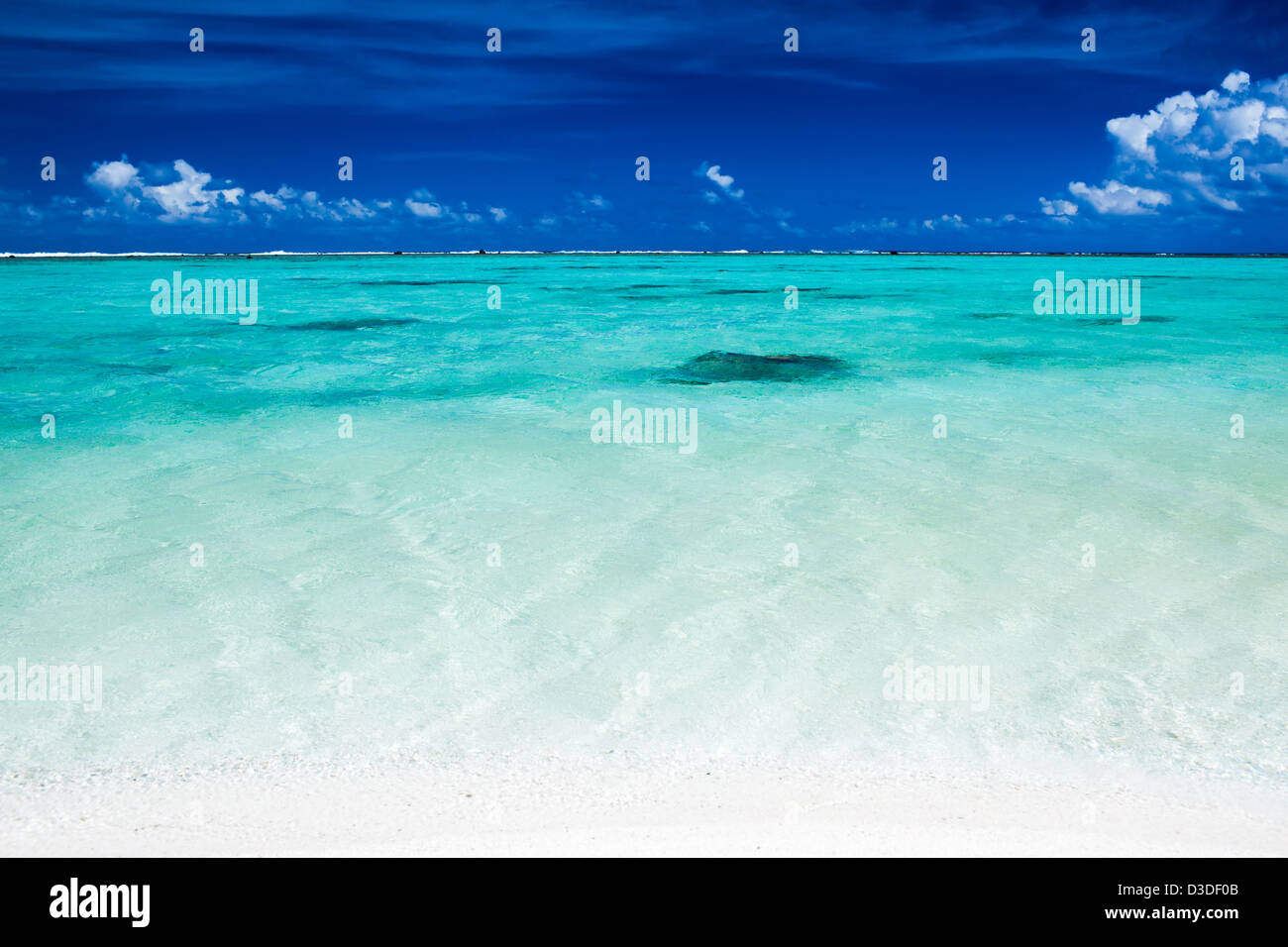 Tropical ocean with blue sky and vibrant ocean colors with coral Stock ...
