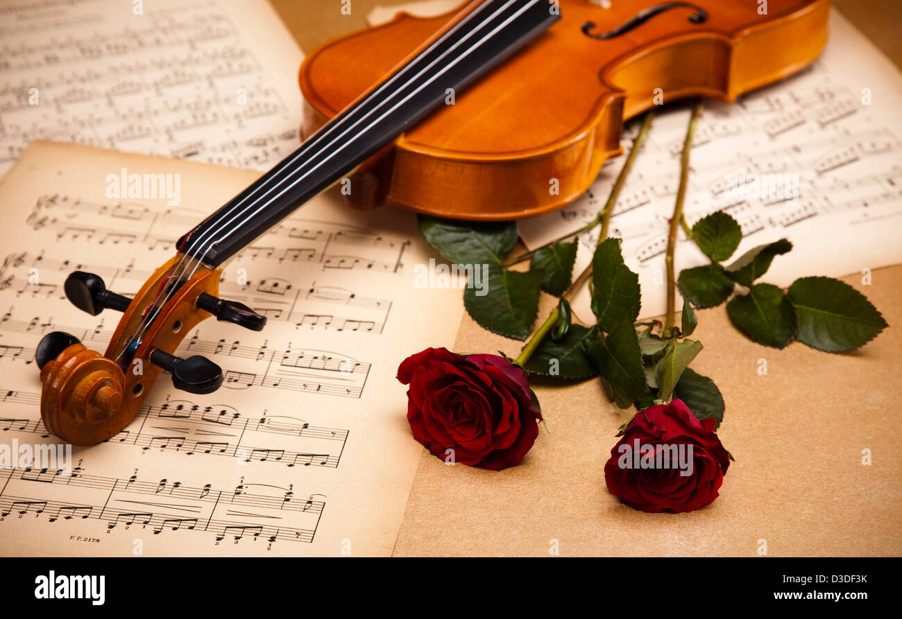 Red roses, violin Stock Photo - Alamy